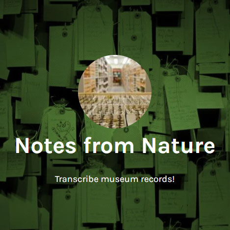 Notes From Nature: Online Citizen Science | Mountain Lake Biological ...